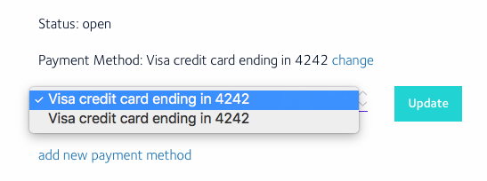 Adding and updating payment methods